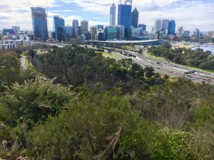 The Aussie bush - what Australians mean when they talk about the bush ...